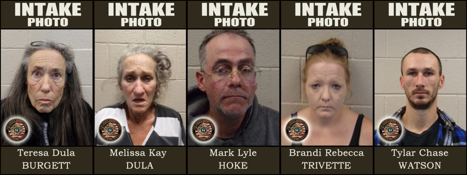 Narcotic Investigation Leads To 5 Meth Trafficking Arrest Ashe County
